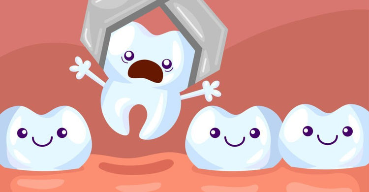 How Long After Having a Tooth Pulled Can You Run | KIWIBIRD