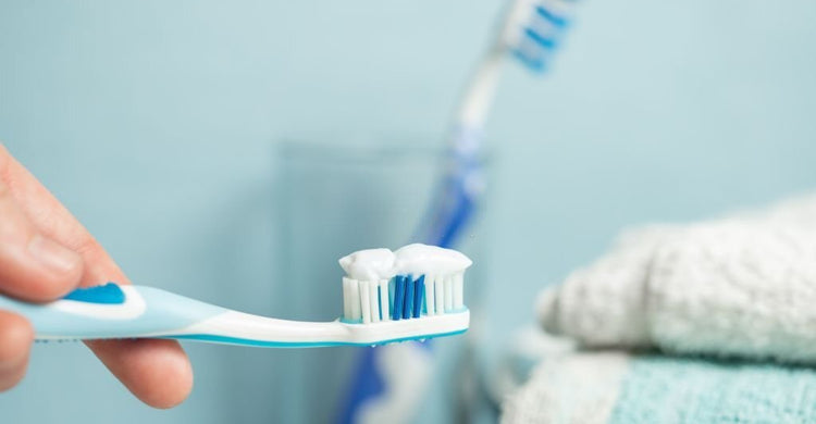 Why does my toothbrush smell? | KIWIBIRD