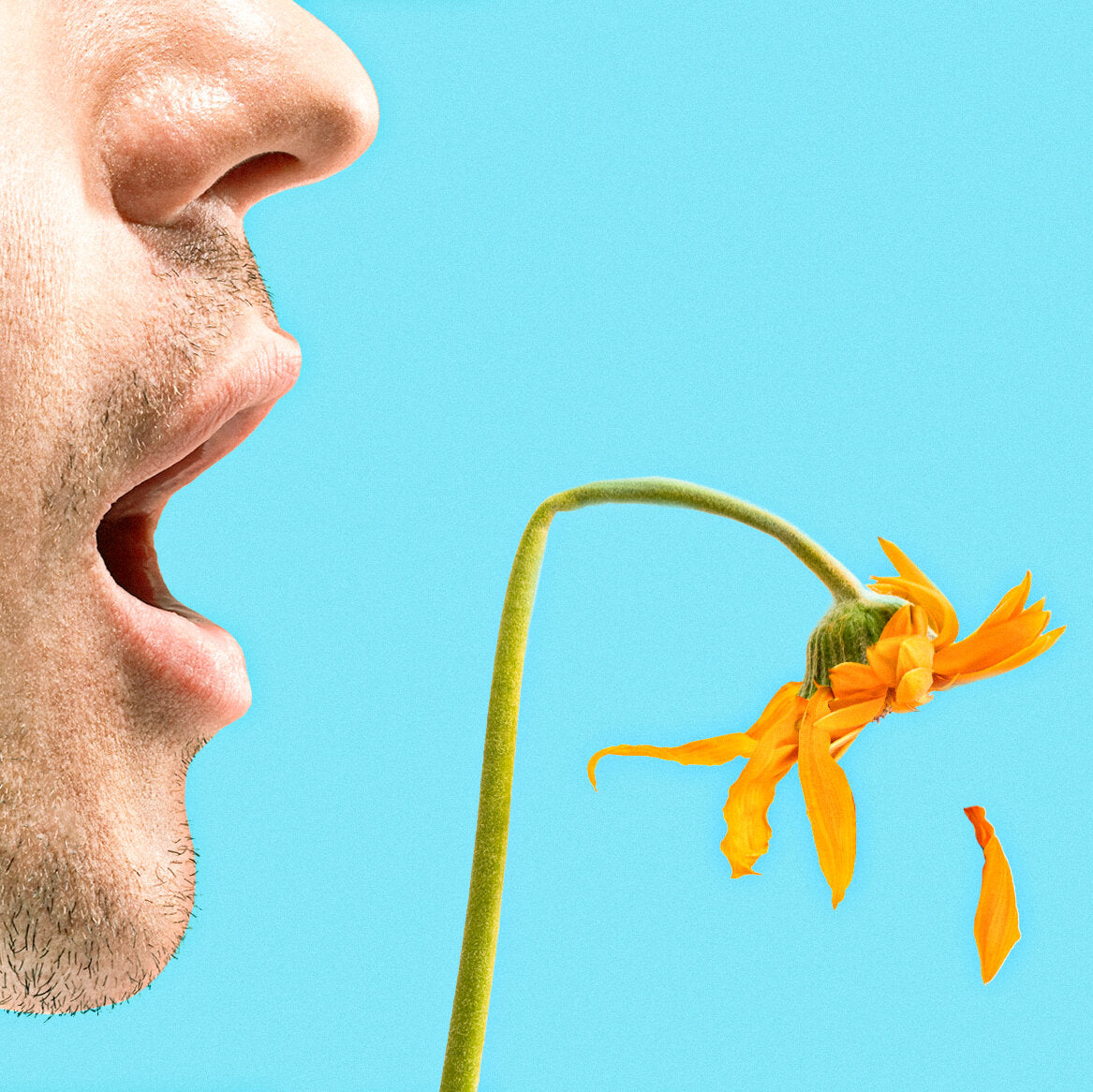 How to Get Rid of Bad Breath Once and for All – KIWIBIRD