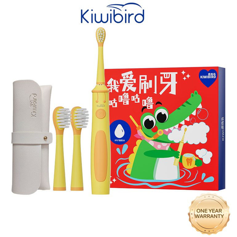 Water Dental Flossers: Everything You Need to Know | KIWIBIRD Oral Care